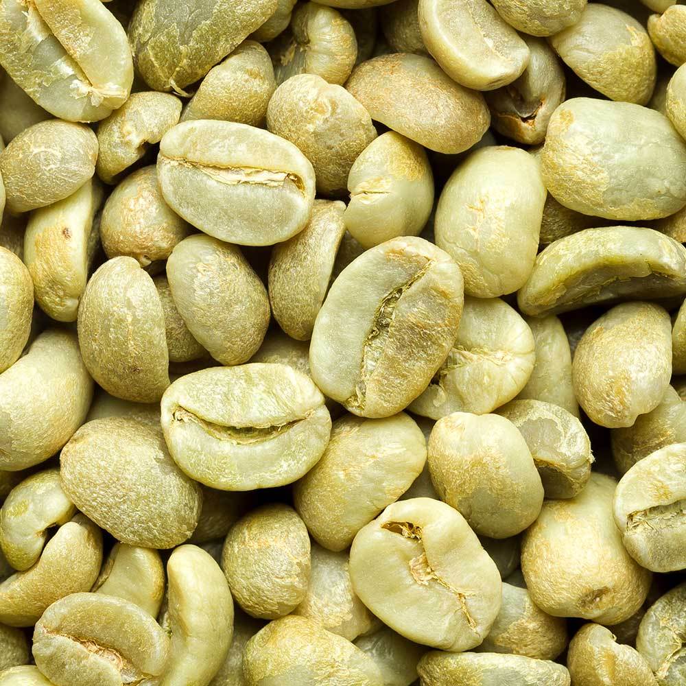 Premium Green Venezuela Coffee Beans | Java Bean Plus