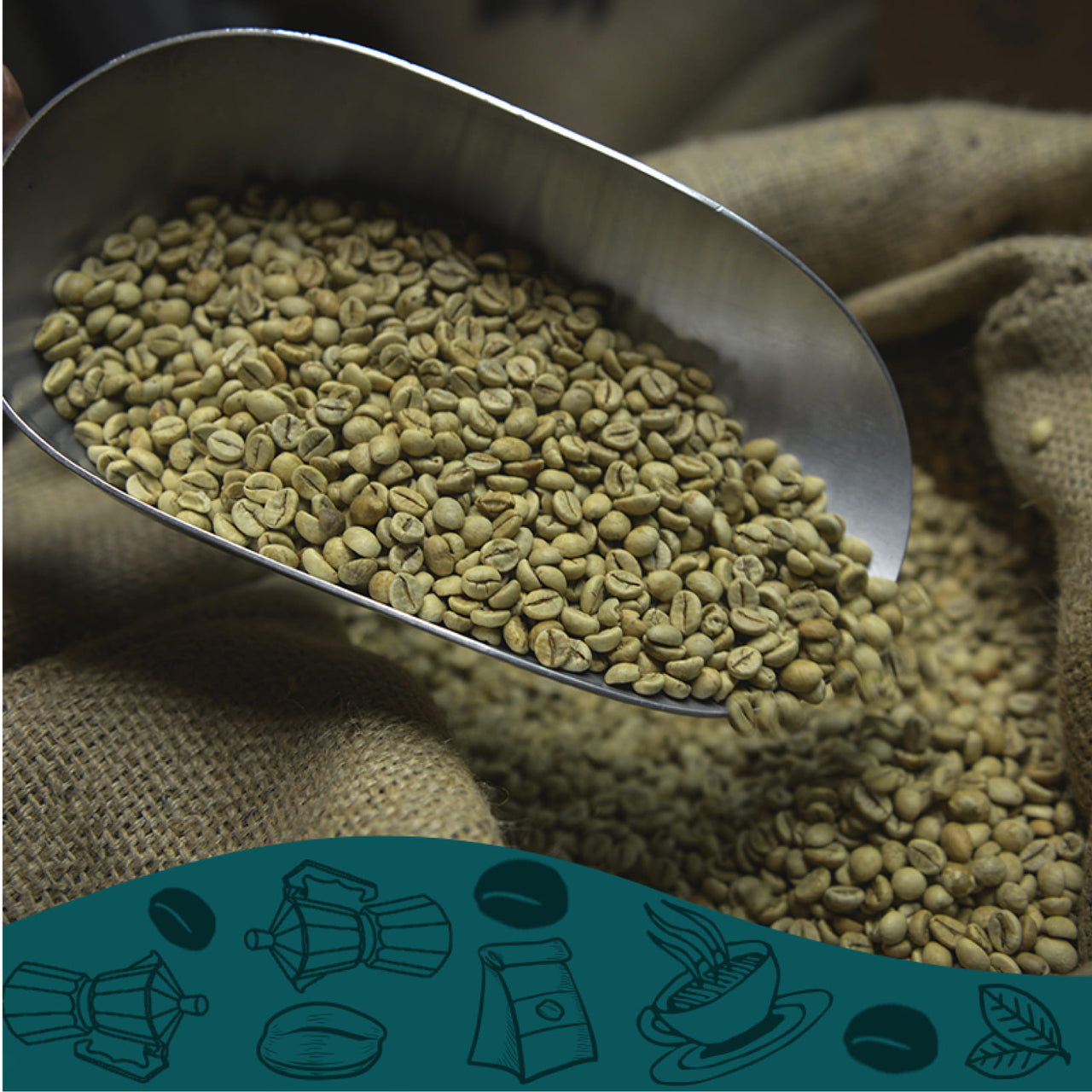 Roasted Coffee and Green Coffee: Java Bean Plus