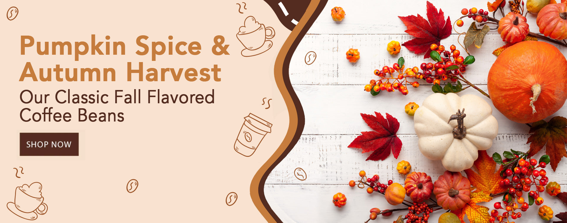 Roasted Coffee and Green Coffee: Java Bean Plus