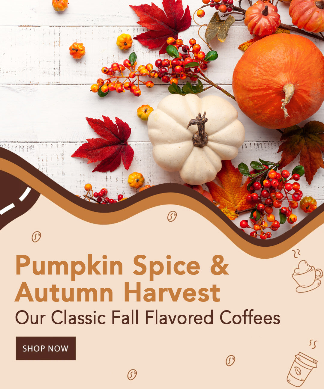 Roasted Coffee and Green Coffee: Java Bean Plus