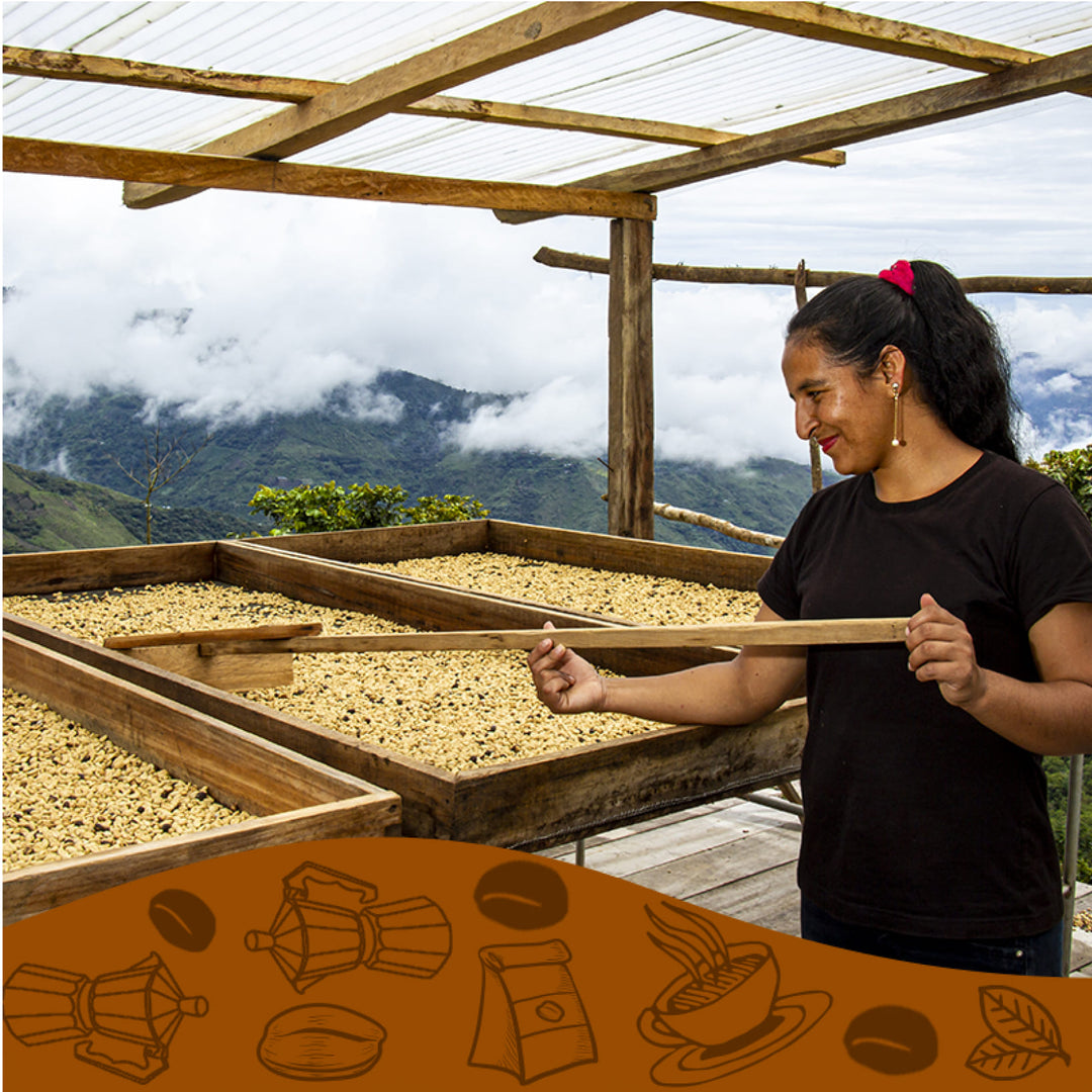 Roasted Coffee and Green Coffee: Java Bean Plus