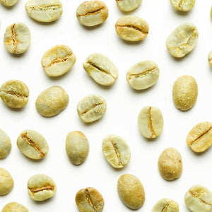 Roasted Coffee and Green Coffee: Java Bean Plus