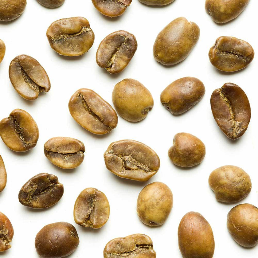 Green Coffee – Green Coffee Beans – Raw & Unroasted Coffee Beans | Java ...